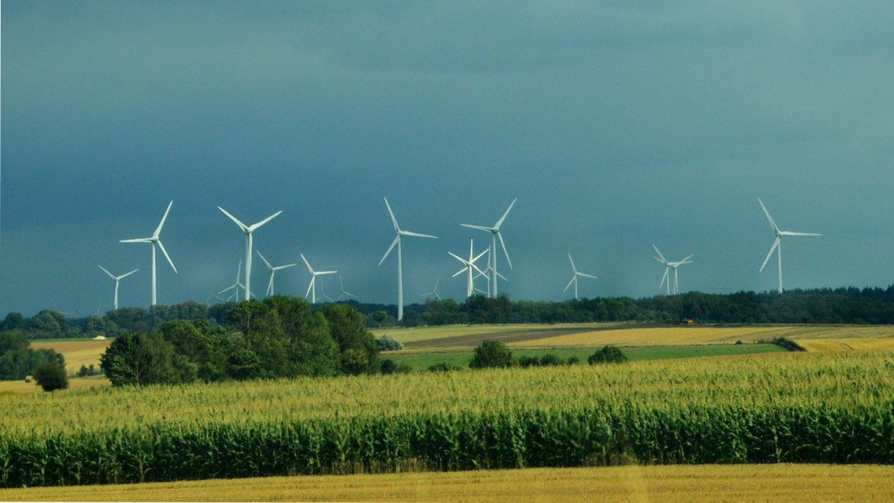 Standardbetingelser - Nordic Wind Consultants